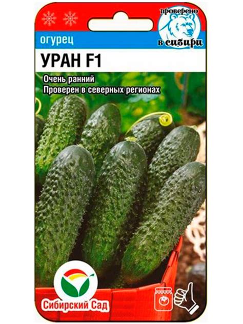 Огурец уран f1: описание, характеристики, достоинства, посадка и уход ...