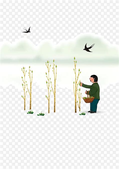 Png Png