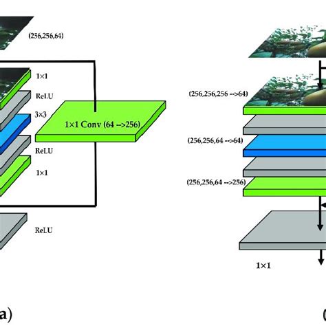 the inner structure of resnet101 as an example of second layers c2