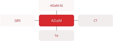 A Guide To Cdisc Standards Used In Clinical Research サターラ