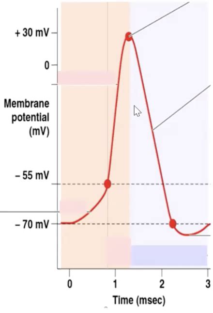Graph Diagram Quizlet