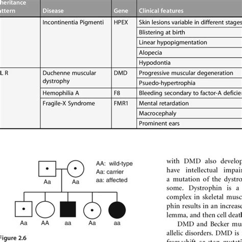 PDF Approach To Single Gene Disorders