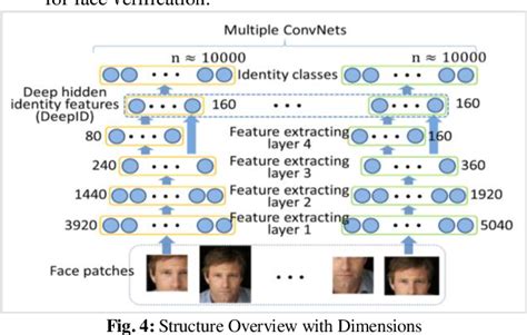Figure 4 From Face Recognition Using Deep Learning Methods A Review