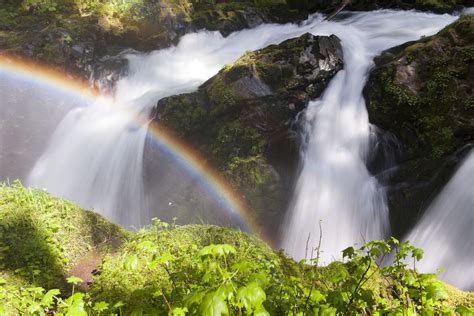 Olympic National Park In Washington A Travel Guide