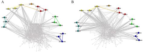 Comparison Of The Interactions Of Missing Gene Pairs A The Download Scientific Diagram