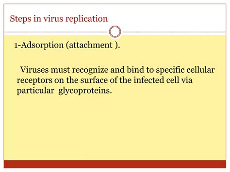 Replication Of Viruspptx