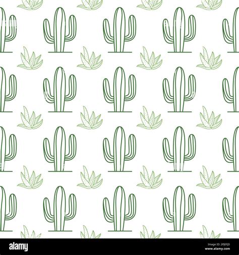 Cactus Pattern Colorful Cactus Pattern Design Cactus Desert Plant