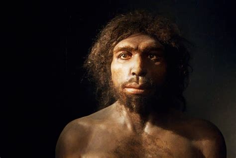 Homo Antecessor