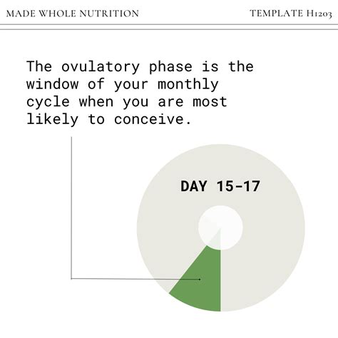 Ovulatory Phase Cycle Syncing Guide — Functional Health Research