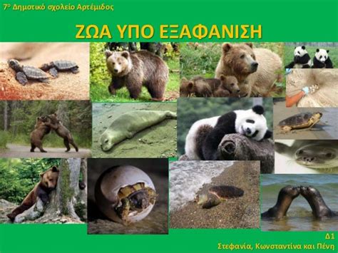 Ζώα υπό εξαφάνιση