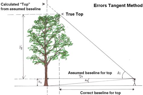 How Can I Calculate The Height Of A Tree At Alan Fortune Blog