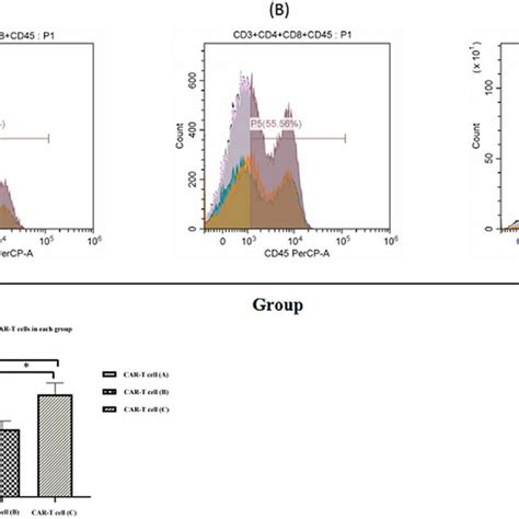 Immunophenotyping Analysis Of Car T Cells After Expansion A Cd45ro Download Scientific Diagram