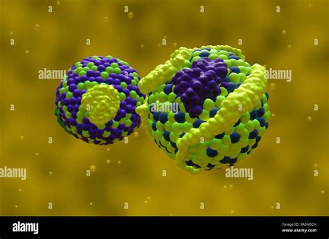 High Density Lipoprotein Hdl Cholesterol And Low Density Lipoprotein Ldl Closeup View 3d