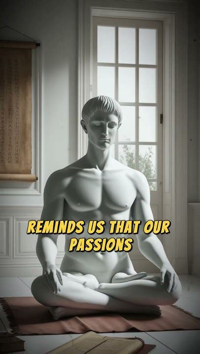 Stoic Wisdom Profound Lessons On Sex And Self Control Stoicism Inner