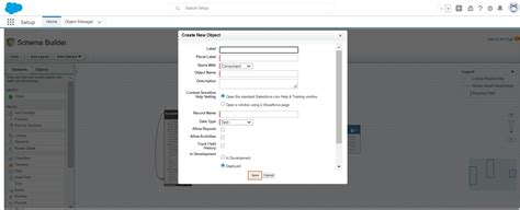 Salesforce Database Schema