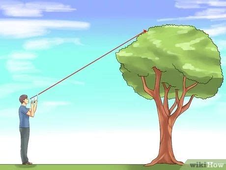 4 Ways To Measure The Height Of A Tree WikiHow Norte De California Lugares Secretos Nivel