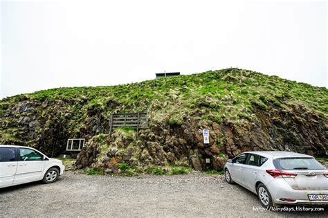 잔득 억울한 새 퍼핀을 보러가자