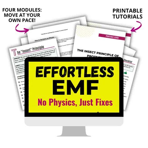 Effortless Emf Mini Course Beat Emf