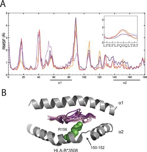 Figure 4 From Epitope Flexibility And Dynamic Footprint Revealed By