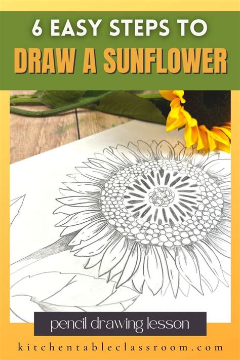 Six Easy Steps To Draw A Sunflower The Kitchen Table Classroom Sunflower Art Project