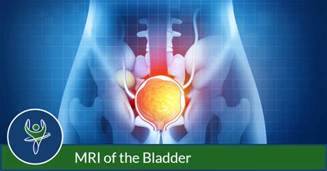 Mri Of The Bladder Capitol Imaging Services