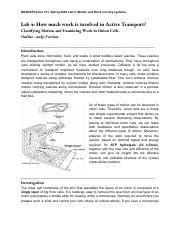 Phys131 Lab 4 Extended Online Pdf NEXUS Physics 131 Spring 2020 Lab 4 Motion And Work In