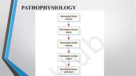 Hypovolemic Shock Pdf