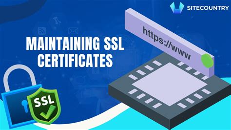 Ssl Certificate Guide Find Your Fit