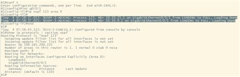 Missing Routing Information Sources Rccnp