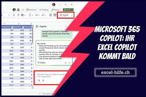 Copilot Microsoft Archives Excel Hilfe Ch