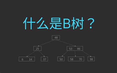 终于把b树搞明白了二什么是b树，b树的特点 哔哩哔哩
