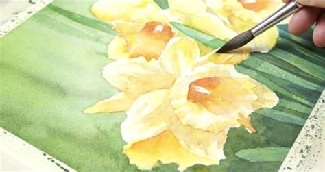 Watercolor Daffodils A Step By Step Tutorial Watercolor Affair