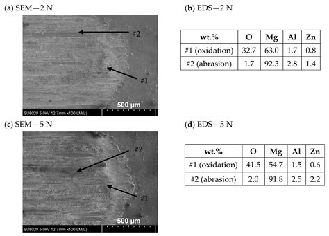 Tribo And Tribocorrosion Properties Of Magnesium Az31 Alloy