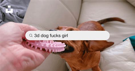 3d Dog Fucks Girl Pictures Download Free Images On Unsplash
