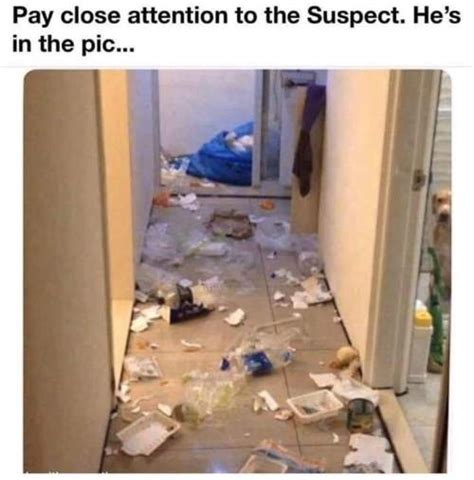 Do Re Meme 4 ~ Trivial Music Silliness