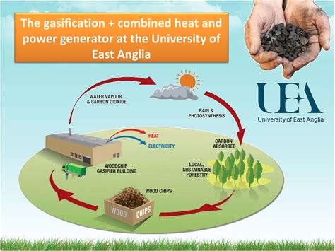 Biochar Root Growthandrhizospherecommunities Linkedi Ppt Biochar Root Growthandrhizospherecommunities Linkedi Ppt