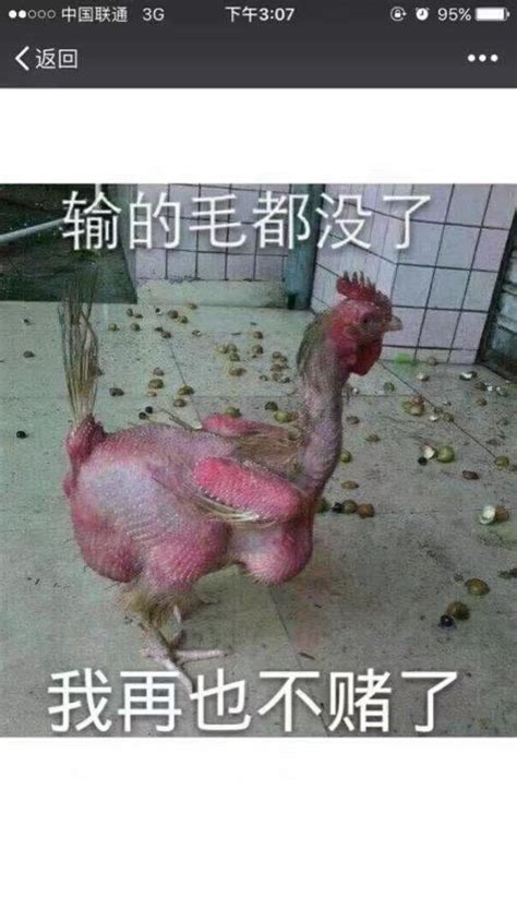在网上平台被黑不能出金解决的方式、请告诉上帝 书法网