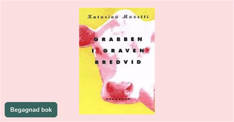 Grabben I Graven Bredvid Isbn 9789177128090 Studentapan