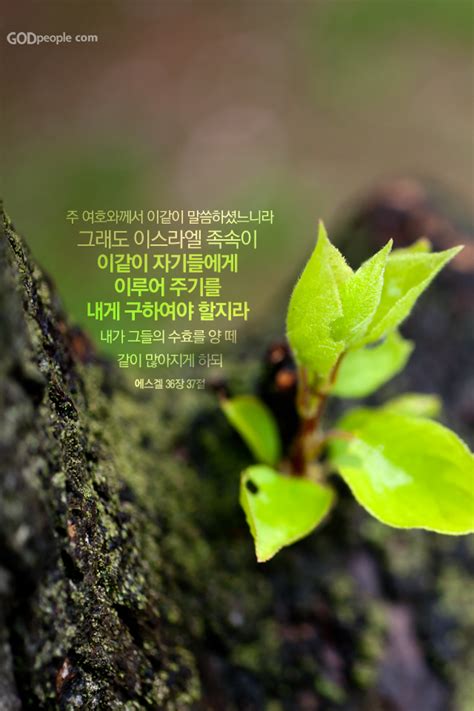 배경화면 갓피플