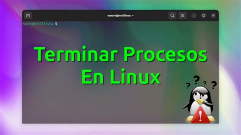 Paso A Paso Instalando Python En Linux