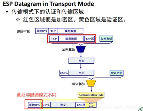 Ipsec 传输模式下 Esp 报文的装包与拆包过程esp新增报文头长度 Csdn博客