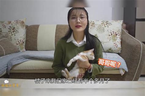 带橘猫去打针全程惨叫连连医生堵上它的嘴 全程 医生