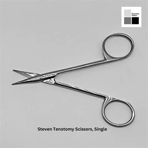 Stainless Steel Steven Tenotomy Scissors Single At ₹ 899 In Lucknow