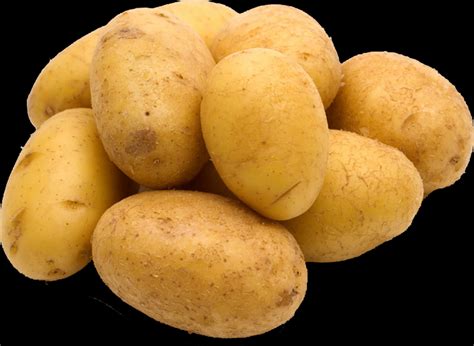 Free Potato Wallpaper Downloads 100 Potato Wallpapers For Free
