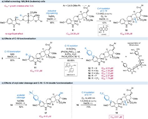 Scheme 2 Initial Screening Structural Variation And Iterative Download Scientific Diagram
