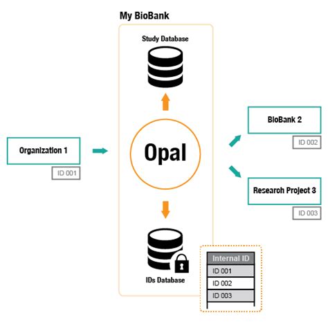 Store And Document Data With Opal