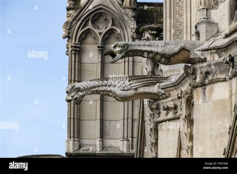 Gothic Gargoyles On Buildings