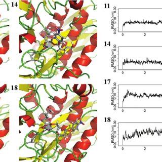 Predicted Binding Modes Of 11 14 17 And 18 By 10 Ns Molecular Download Scientific Diagram