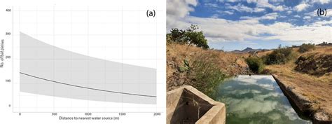 Relationship Between Bat Activity Number Of Bat Passes And Distance