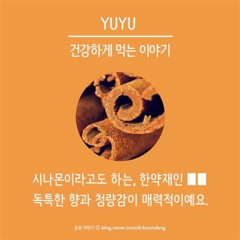 유유이야기 유유의 먹는이야기 No76 후추 정향과 함게 세계 3대 향신료 중 하나 계피